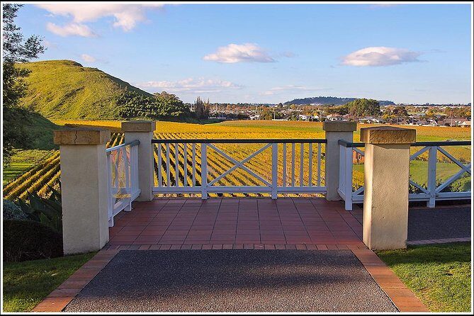 Premium-Hawke's Bay, Napier Winery Tour - 5.5 hours - Transport & Group Size: Why It Matters