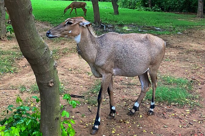 Premium Hidden Jewels of Delhi Cycling Tour - The First Chapter of Delhi - The Sum Up: Who Will Love This Tour?