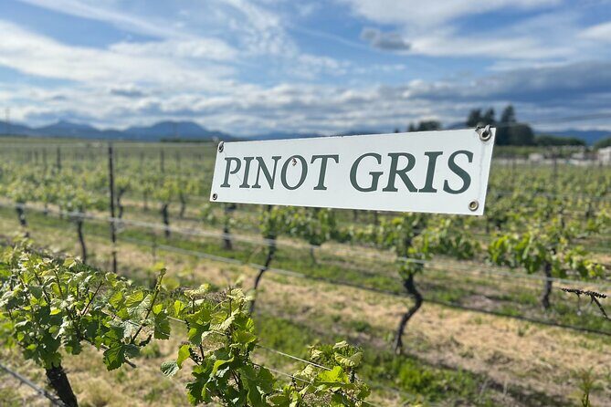 Premium Hood River Wine Tours - Who Will Love This Tour?