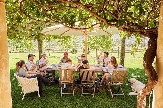 Premium Hunter Wine Tour with Degustation Lunch and Paired Wines - A Closer Look at the Experience