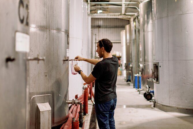 Premium Hunter Wine Tour with Degustation Lunch and Paired Wines - Final Thoughts