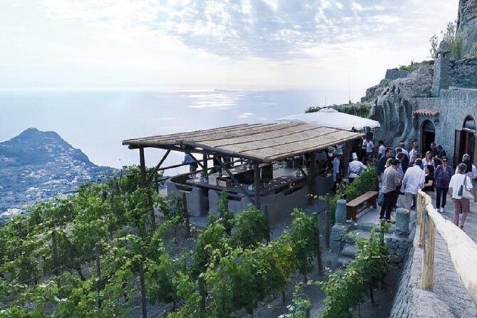 Premium Ischia Wine Tasting Experience with Transfer Included - The Transport and Group Size