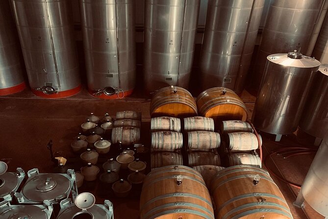 Premium Ischia Wine Tasting Experience with Transfer Included - Final Thoughts: Is This Tour Worth It?