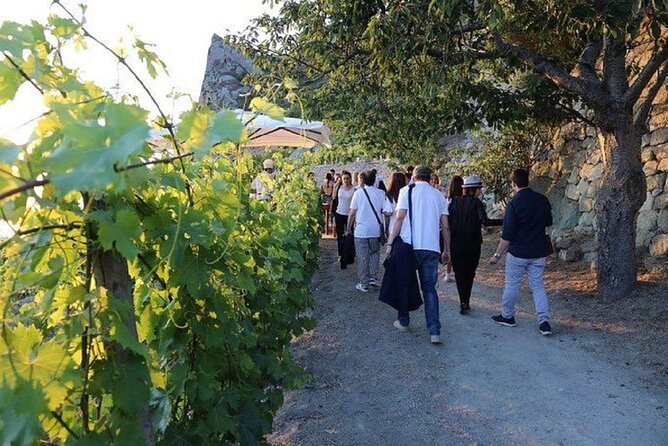 Premium Ischia Wine Tasting Experience with Transfer Included - FAQ