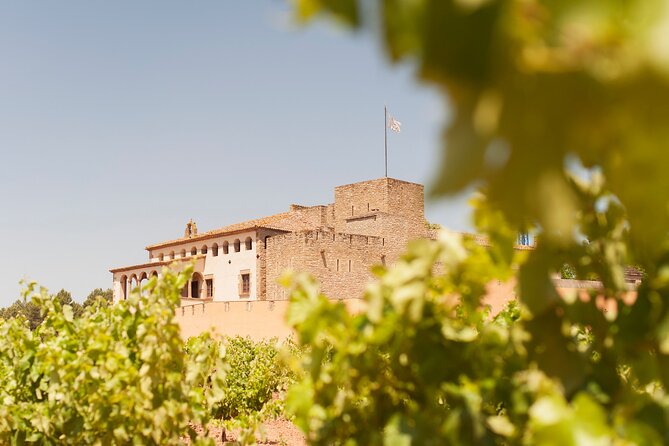 Premium Montserrat & Wine Full Day Tour from Barcelona - Who Should Consider This Tour?