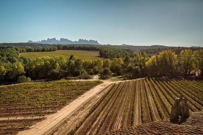 Premium Montserrat & Wine Full Day Tour from Barcelona - Final Thoughts