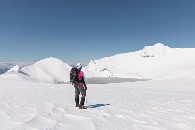 Premium Mt Ruapehu Summit Plateau Guided Group Hike - Who Should Consider This Tour?