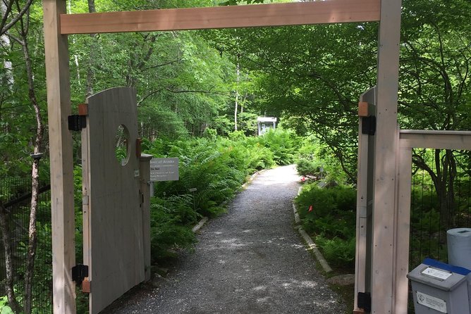 Premium Narrated Bus Tour of Bar Harbor and Acadia National Park (3.5 Hours) - Transportation and Group Dynamics