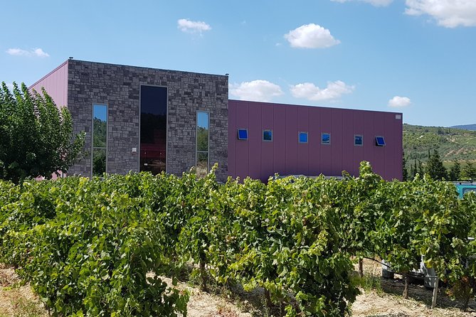 Premium Nemea Wine Tour From Athens, Nafplio or Nemea, With Oenologists - Culinary Highlights