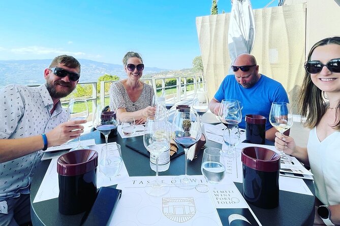 Premium Nemea Wine Tour From Athens, Nafplio or Nemea, With Oenologists - Transportation and Accessibility