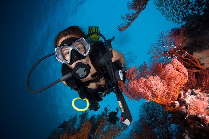 "Premium" Non Certified Beginner Scuba Diving in Racha Yai/Noi - Key Points