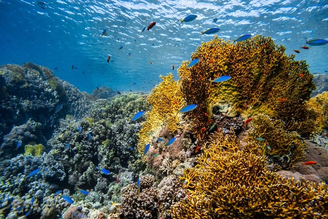 "Premium" Non Certified Beginner Scuba Diving in Racha Yai/Noi - Why This Tour Works Well