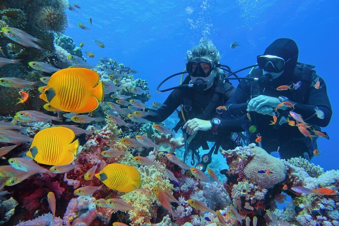"Premium" Non Certified Beginner Scuba Diving in Racha Yai/Noi - Practical Details That Matter