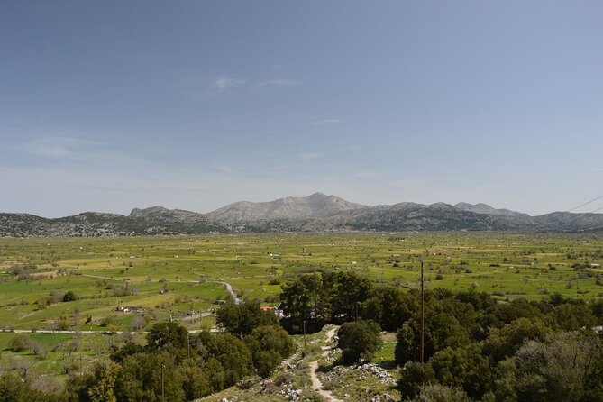 Premium off road tour to Lasithi Plateau & Olive Oil Tasting - What Makes This Tour a Good Deal?