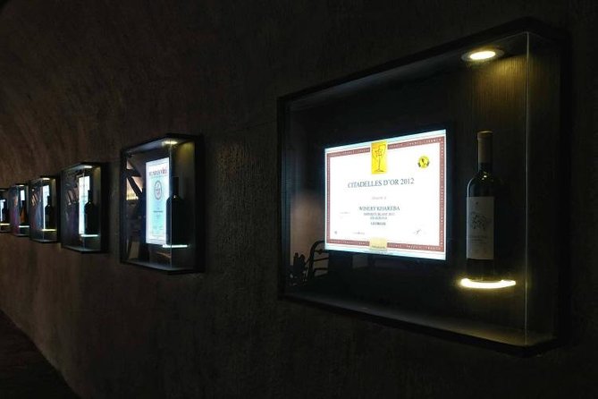 Premium & Organic Wine Tour in Kakheti - Who Will Love This Tour?