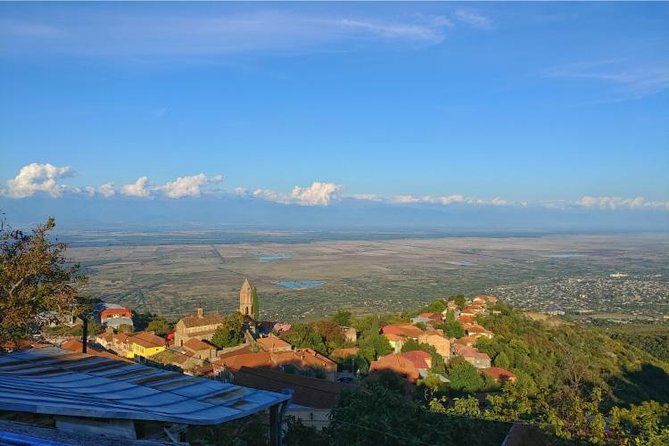 Premium & Organic Wine Tour in Kakheti - Final Thoughts