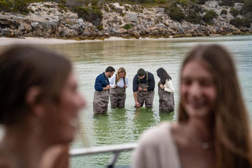 Premium Oyster Season Winter Tour Inc Wading & 12x Oysters - Key Points