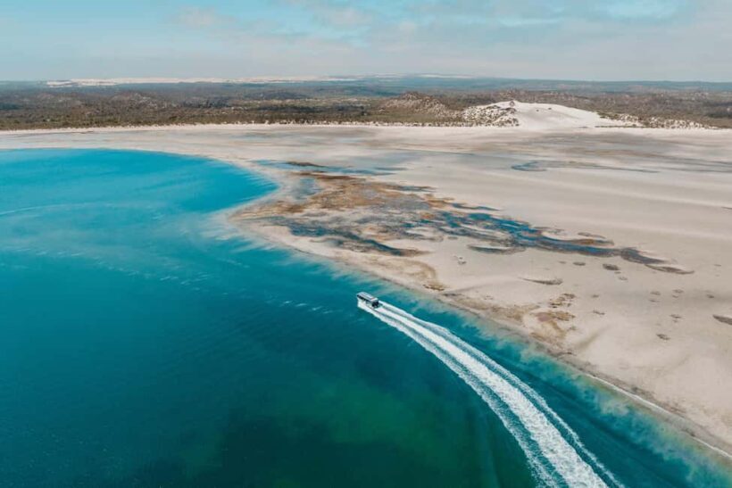 Premium Oyster Season Winter Tour Inc Wading & 12x Oysters - Final Thoughts: Who Should Consider This Tour?