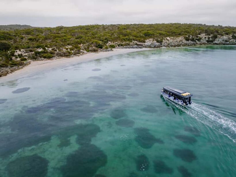 Premium Oyster Season Winter Tour Inc Wading & 12x Oysters - Final Verdict