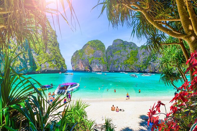 Premium Phi Phi, bamboo island tour Speed Catamaran - An In-Depth Look at the Tour