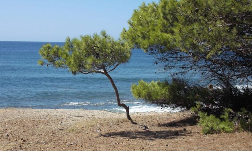 Premium Private Cruise from Castellabate: Cilento Coast - A Detailed Breakdown of the Itinerary