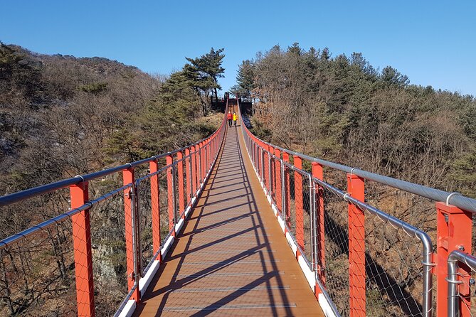 Premium Private DMZ Tour & (Suspension Bridge or N-Tower) include lunch - Final Thoughts: Is It Worth It?