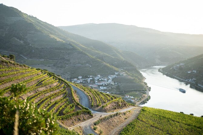 Premium Private Douro Tour: 2 Wineries with Tastings & Cruise - Who Will Love This Tour?