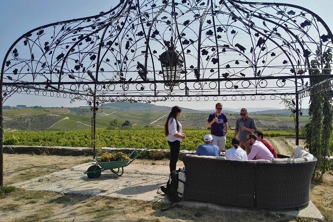 Premium Private Douro Tour: 3 Wineries With Tastings & Lunch - Experience the Beauty of the Douro Valley