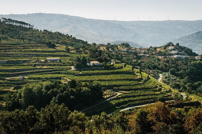Premium Private Douro & Vinho Verde Tour: Wine Tastings & Lunch - An In-Depth Look at the Douro & Vinho Verde Private Tour