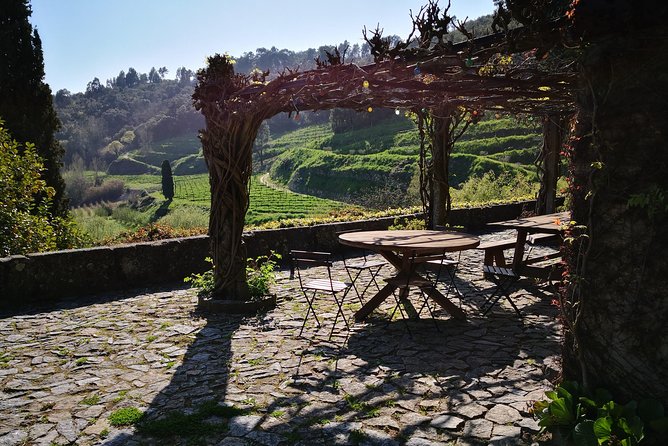 Premium Private Douro & Vinho Verde Tour: Wine Tastings & Lunch - FAQ