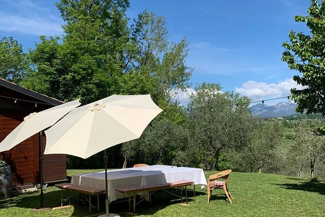 Premium Private Prosecco Hills Tour. 2 Wineries, Lunch Included. - Additional Information