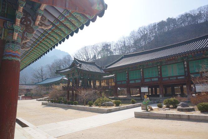 [Premium Private Tour] Mt Seorak & East Sea or Nami island from Seoul - Who Should Consider This Tour?