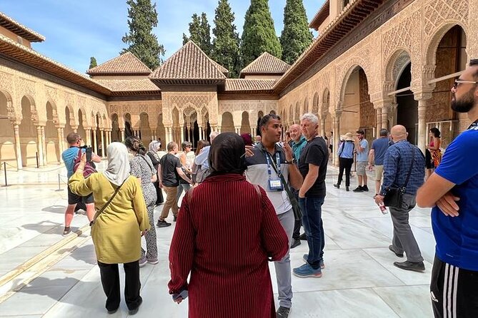 Premium Private Tour to the Alhambra and Generalife - Reviews and Guide Experience