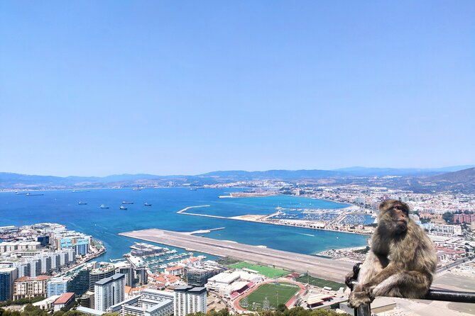 Premium private trip to Gibraltar from Seville (multiple options) - Practical Tips for Your Trip