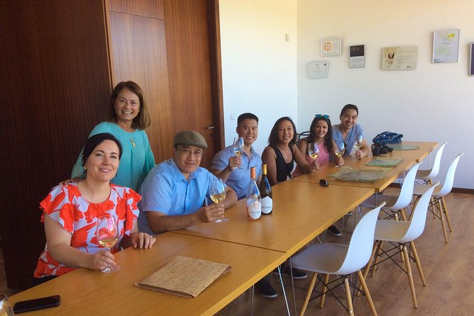 Premium Private Vinho Verde Tour:3 Wineries With Tastings & Lunch - Traveler Feedback and Recommendations
