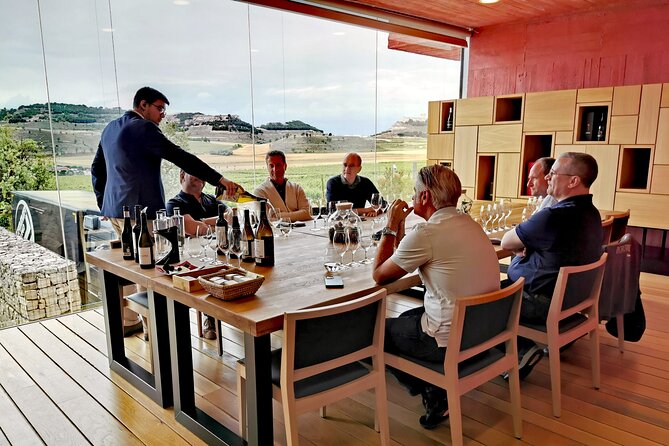 Premium Ribera Del Duero Tour With Winemaker-Guide - Visiting Boutique Wineries and Vineyards