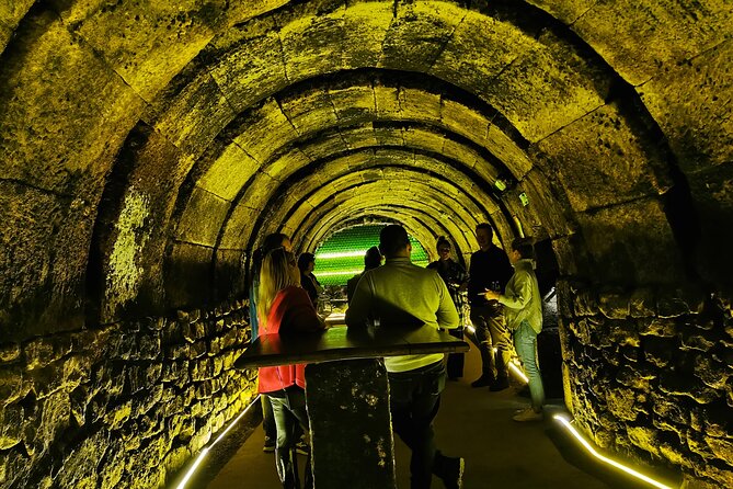 Premium Ribera Del Duero Tour With Winemaker-Guide - Exceptional Dining Experience