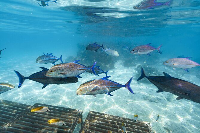 Premium Sea Scooter Lagoon Discovery - The Experience: What Travelers Say