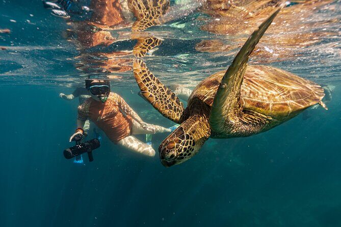 Premium Sea Scooter Lagoon Discovery - Why This Tour Is Worth Your While