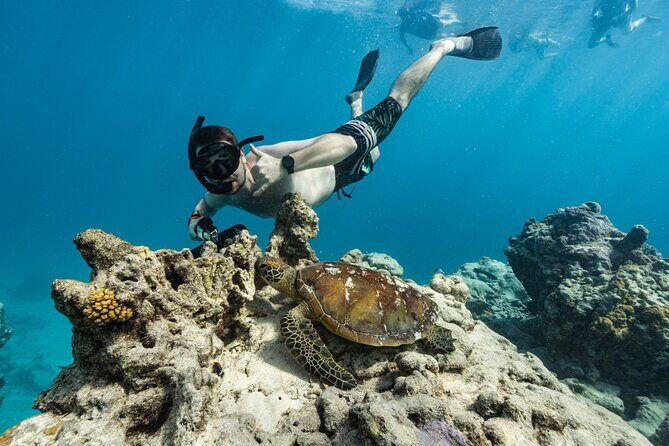 Premium Sea Scooter Turtle Adventure - The Final Word