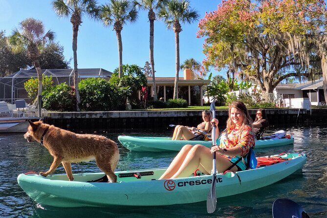 Premium Single Kayak Rental In Crystal River, Florida - A Detailed Look at the Experience