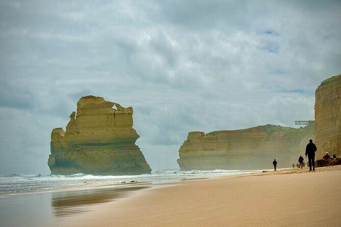 Premium Small Group Great Ocean Road & Wildlife with Lunch - Who is This Tour Best For?