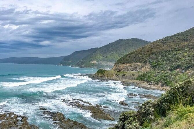 Premium Small Group Great Ocean Road & Wildlife with Lunch - The Sum Up: Why Choose This Tour?