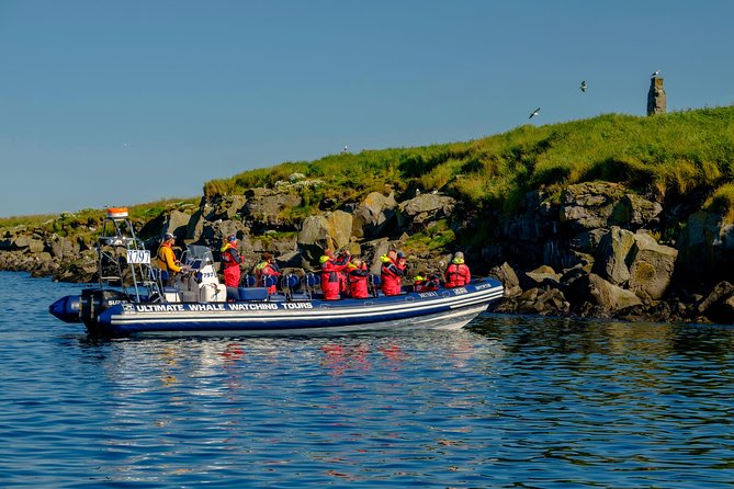 Premium Small-Group Puffin & Bird Watching tour from Reykjavík - FAQs about the Puffin & Bird Watching Tour