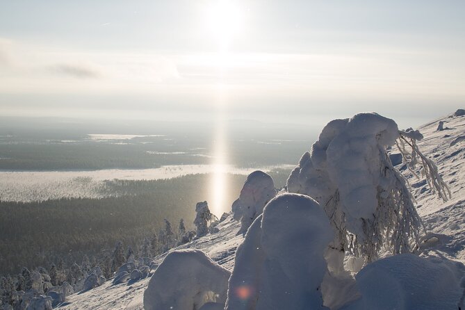 Premium Snowshoeing in Pyhä-Luosto National Park - The Sum Up