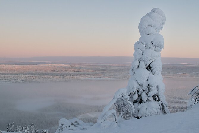 Premium Snowshoeing in Pyhä-Luosto National Park - FAQ