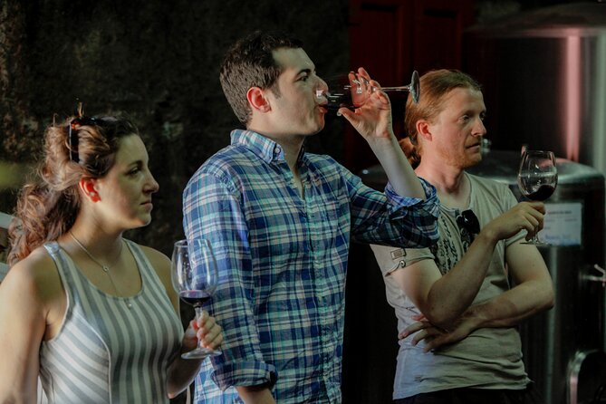 PREMIUM TASTING and TAPAS With GUIDED TOUR - Tour Highlights