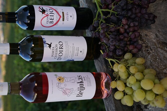 PREMIUM TASTING and TAPAS With GUIDED TOUR - Meet the Winemakers