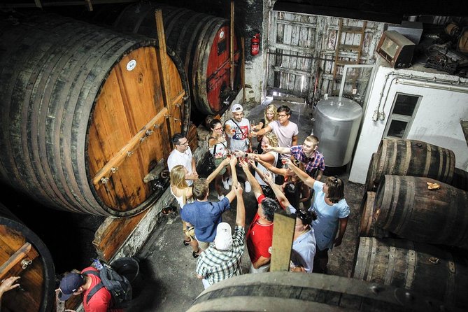 PREMIUM TASTING and TAPAS With GUIDED TOUR - Exploring the Terroir