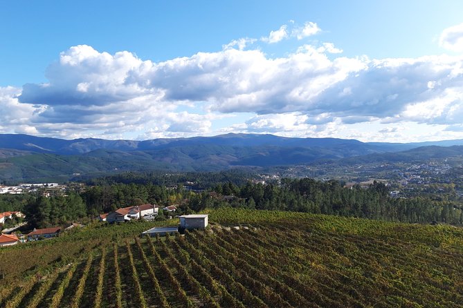 Premium Tasting | Quinta de Santa Cristina Vinho Verde - The Itinerary and What to Expect